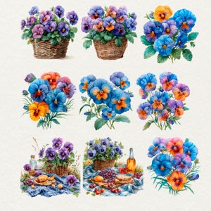 Watercolor Pansy Flower Clipart, 37 PNG Pansy Flowers, Spring Viola ...