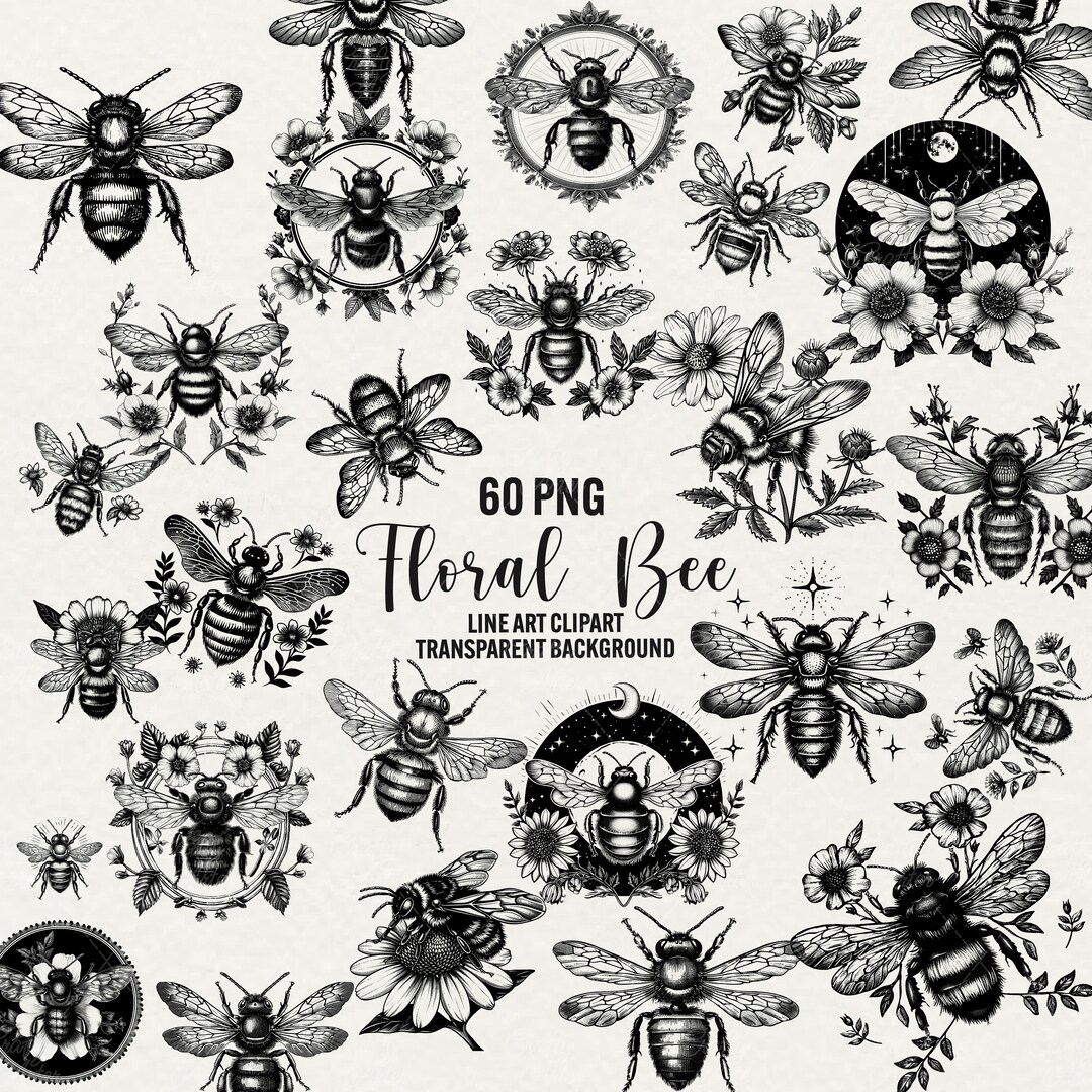 Floral Bee Clipart, 60 Png Honey Bee Line Art, Insect Clip Art, Queen ...