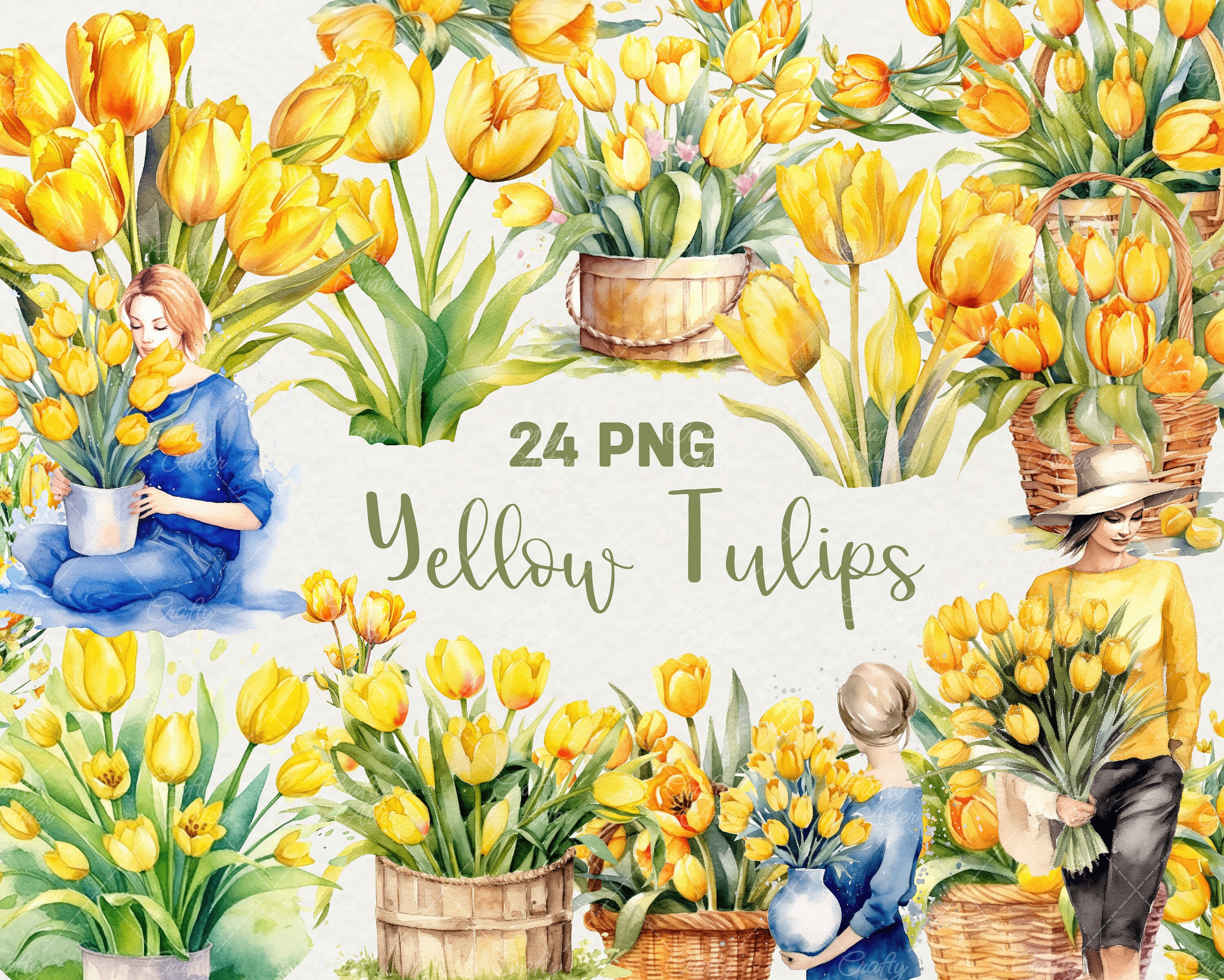Yellow Tulip Clipart