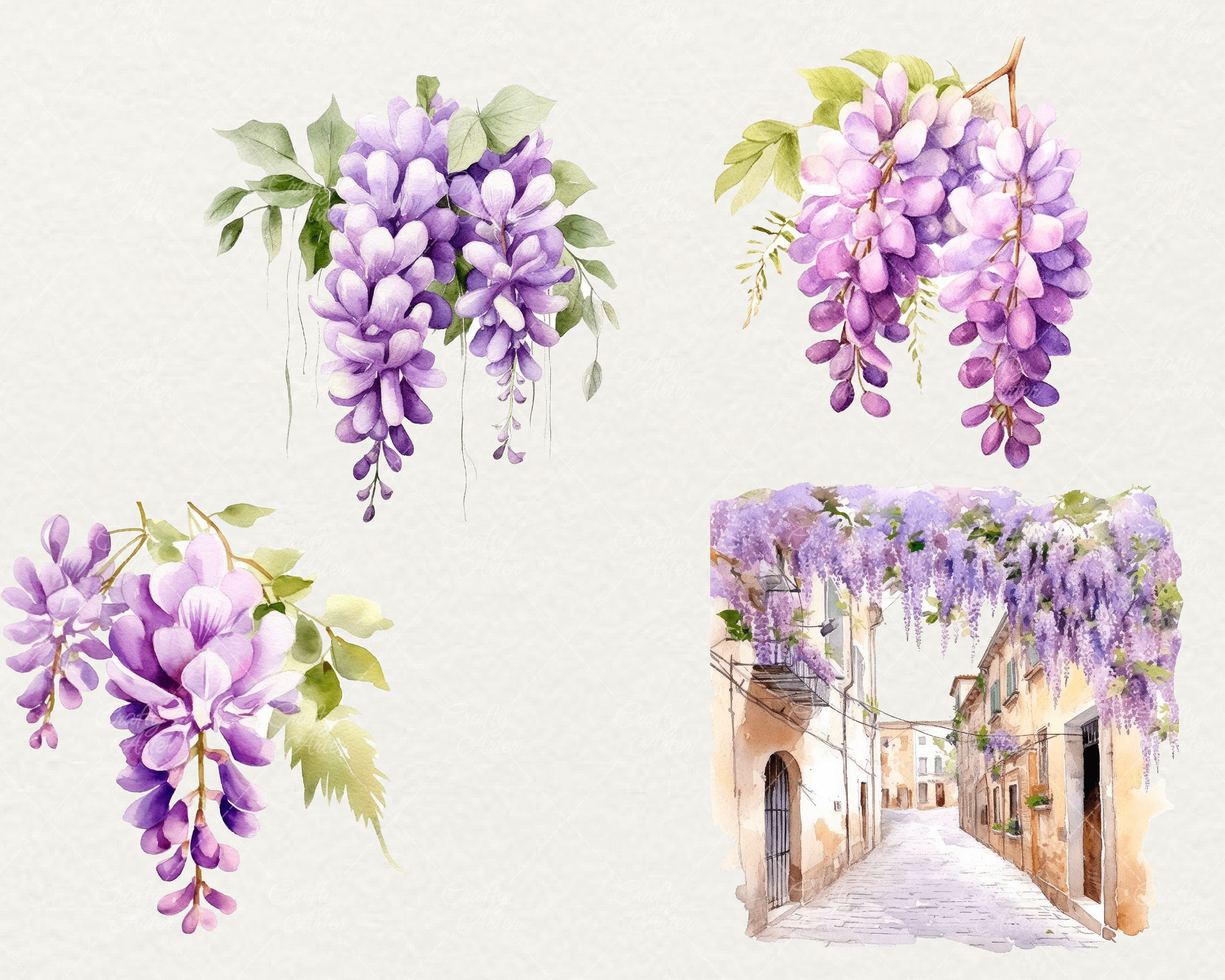 Watercolor Wisteria Clipart 28 Png Watercolor Purple Wisteria - Etsy