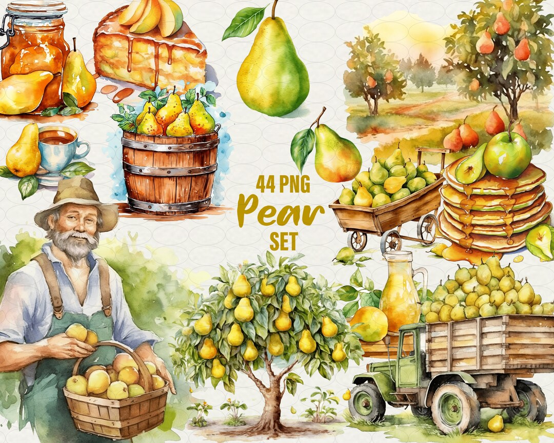 Pear Clipart Bundle 44 PNG Yellow Watercolor Pears Clipart, Pear Pie ...