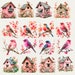 Birdhouse Spring Clipart, 36 PNG Watercolor Birdhouses, Birdie Graphics ...