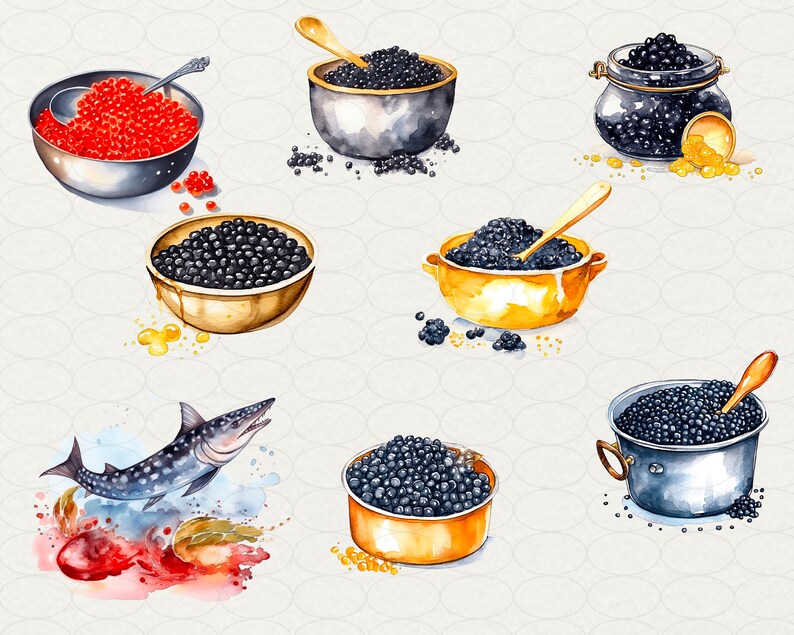 Watercolor Caviar Clipart 36 PNG Delicious Sea Food Luxury - Etsy