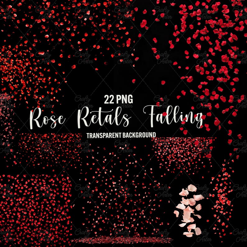 Falling Red Rose Petals PNG Overlays: Romantic Photo Effects ...