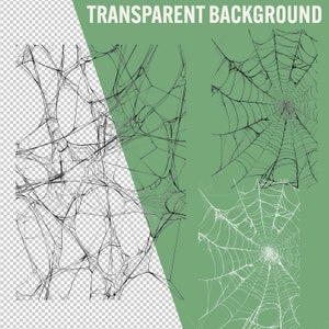 Spider Web Overlays Clipart - 22 PNG Files - Halloween Digital Art, Web Graphic Design, Flame ...