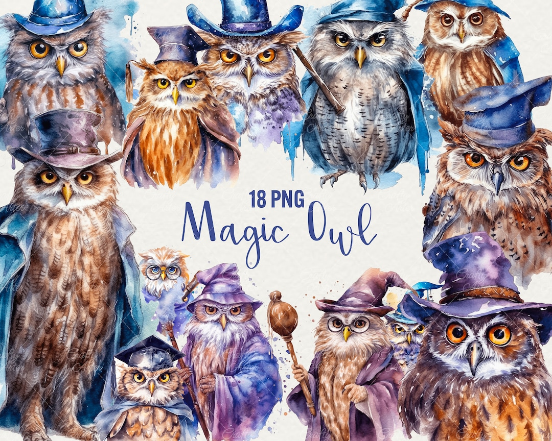 Watercolor Wizard Owl Clipart: Magic School PNG Set (18 Images) - Etsy