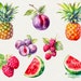 Watercolor Fruits Clipart 46 PNG Digital Art Fruits Assorted - Etsy