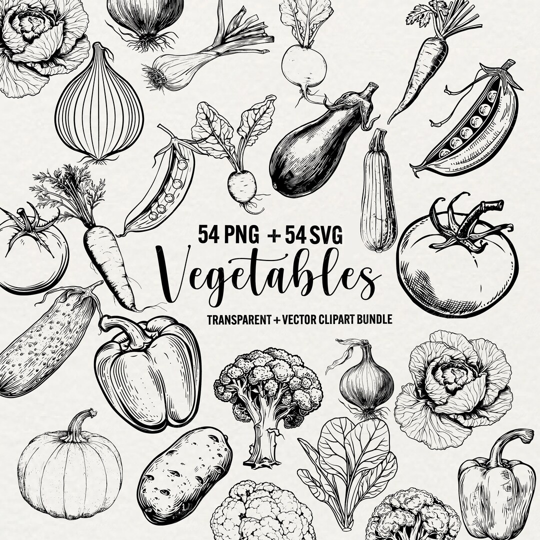 Vegetable Clipart Bundle: 54 PNG & SVG Illustrations (commercial Use ...