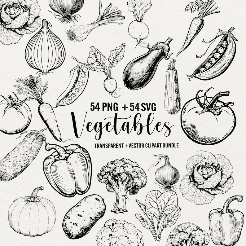 Vegetable Clipart Bundle: 54 PNG & SVG Illustrations (commercial Use ...