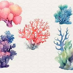 Watercolor Coral Reef Clipart: 31 PNG Sea Life Graphics (commercial Use ...
