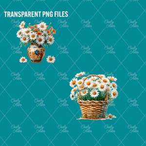 Watercolor Daisy Flower Clipart, 33 PNG Daisy Flowers Girls, Spring ...