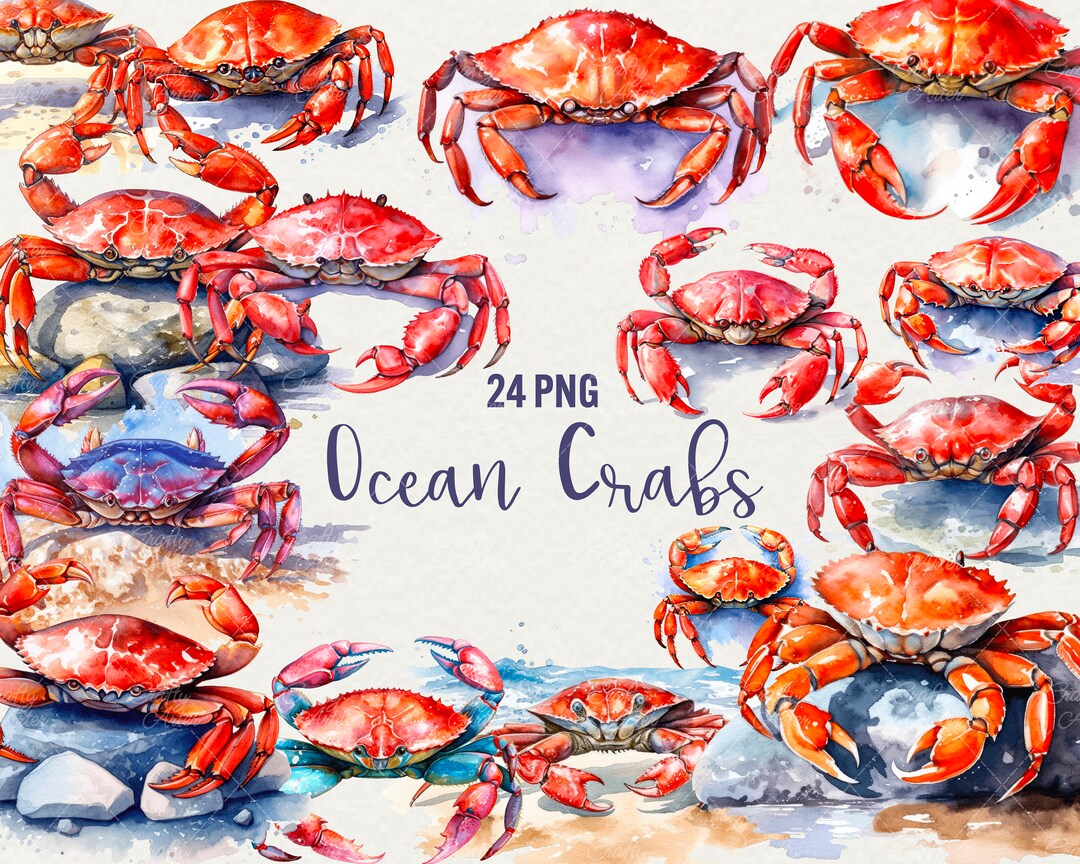 Watercolor Crab Clipart, 26 Png, Sea Crabs Under Water, Ocean Animal ...