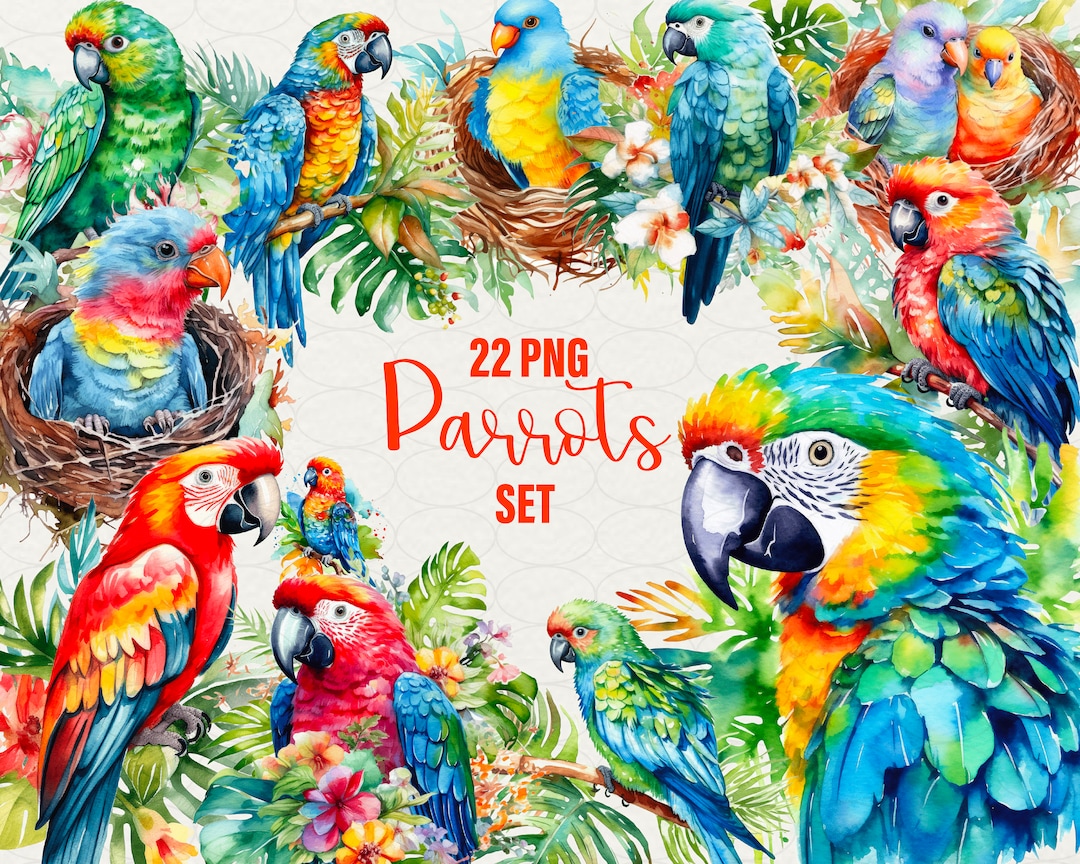 Watercolor Parrots Clipart, Watercolor Exotic Birds Clipart 22 PNG ...