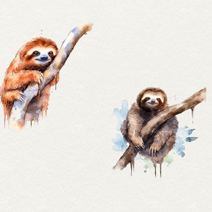 Watercolor Sloth Clipart Bundle, Cute Animal Clipart, 16 Png Instant ...
