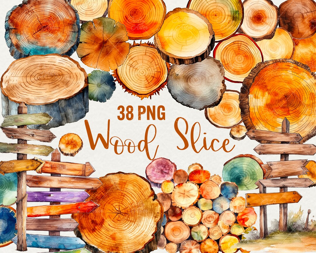 Watercolor Wood Slice Clipart: 38 PNG Wooden Board Graphics (commercial ...