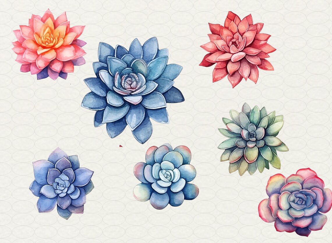 Watercolor Succulent Clipart: 48 PNG Floral & Cactus Illustrations ...