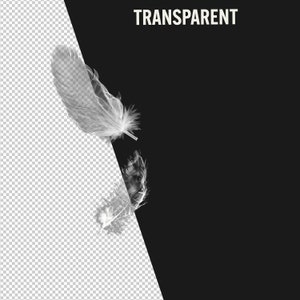 Falling Feather Overlays, Feather Png, Floating Feathers, Photoshop ...