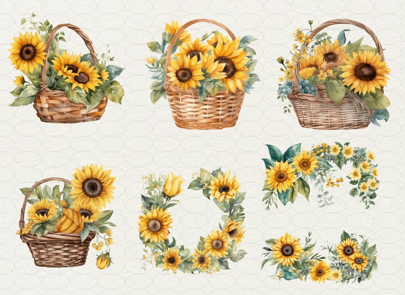 Watercolor Sunflowers Clipart Set: 33 PNG Illustrations (commercial Use ...