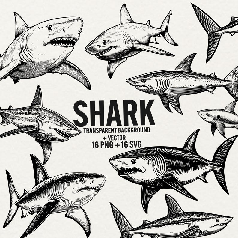 Shark Clipart Bundle: 16 PNG & 16 SVG Ocean Animal Illustrations - Etsy