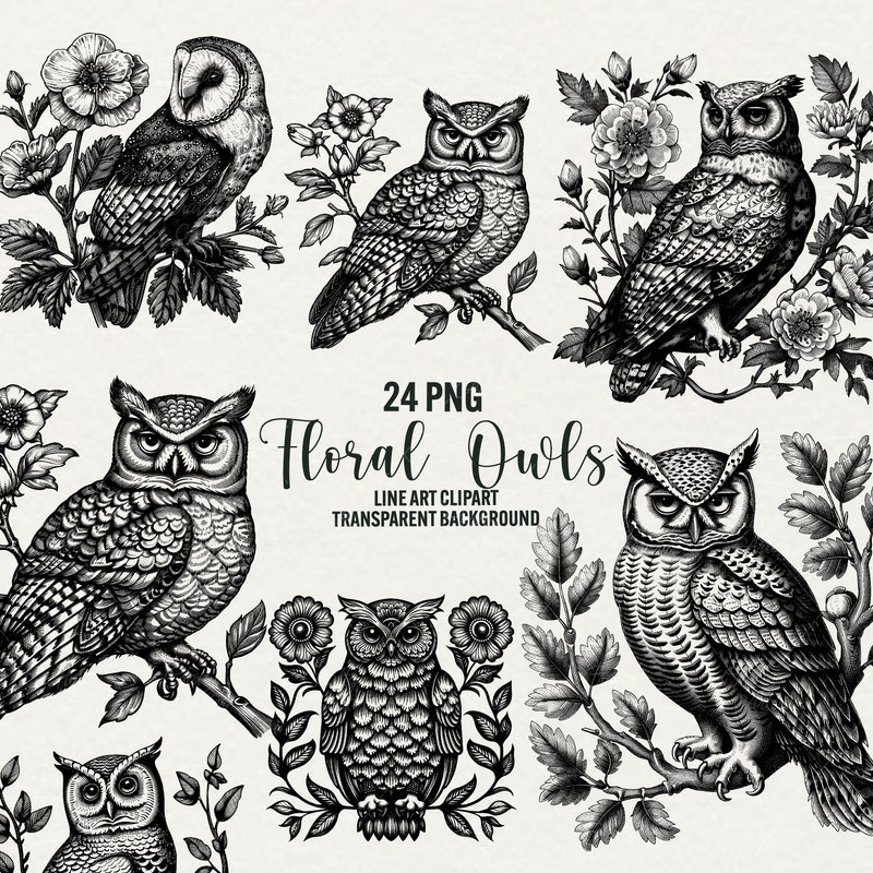 Owl Clip Art - Etsy