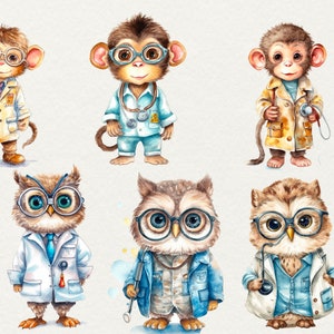 Watercolor Doctor Animals Clipart, 25 PNG Doctor Baby Animal Clipart ...