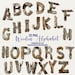 Rustic Wooden Alphabet Clipart: 26 PNG Wood Letters (digital Download ...