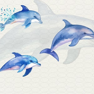 Watercolor Dolphin Clipart: 21 PNG Ocean Animal Graphics (commercial ...