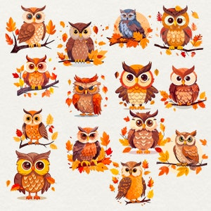 Autumn Owl Clipart, Cartoon Clipart Owl Fall Animals 25 PNG Owl Autumn ...