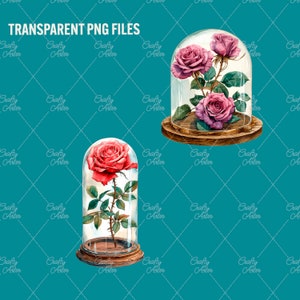 Watercolor Roses Glass Domes Clipart, 27 PNG Rose Flower, Romance Roses ...