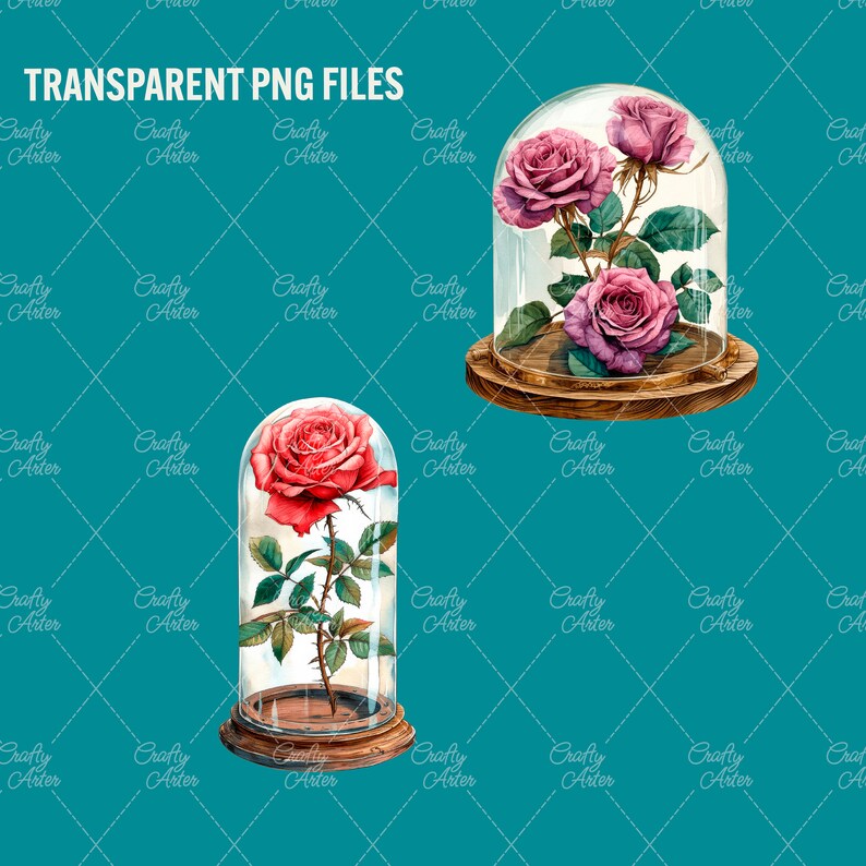 Watercolor Rose Glass Dome Clipart: Floral PNG Graphics (commercial Use ...