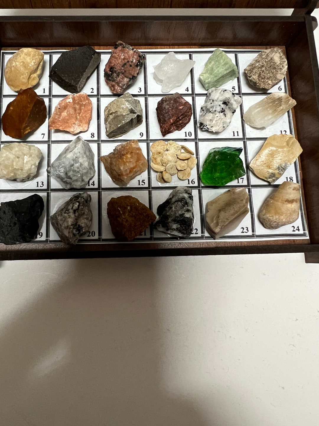 Rock Fossils Mineral Stone HOLY LAND Natural Stone JERUSALEM Gift ...