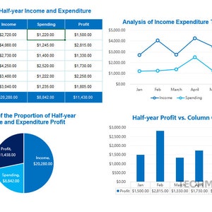 30 Comprehensive Income & Expense Excel Templates | Easy Edit - Etsy