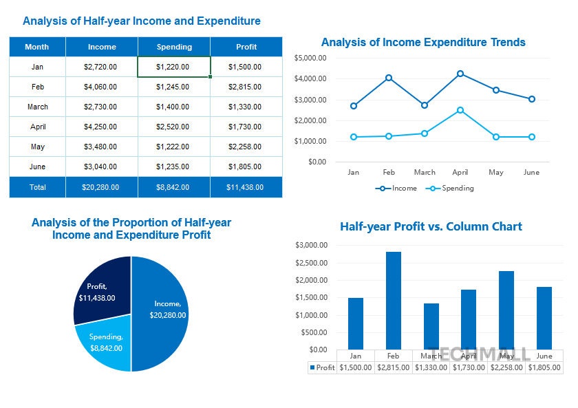 30 Comprehensive Income & Expense Excel Templates | Easy Edit - Etsy