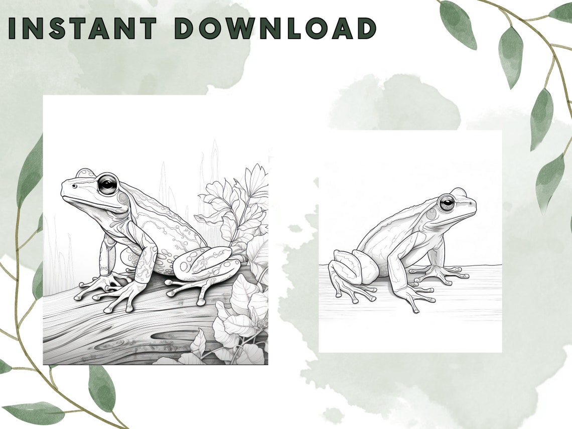 Frog Coloring Pages Science Teacher Coloring Book Printable Pdf File ...