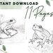 Frog Coloring Pages Science Teacher Coloring Book Printable Pdf File ...
