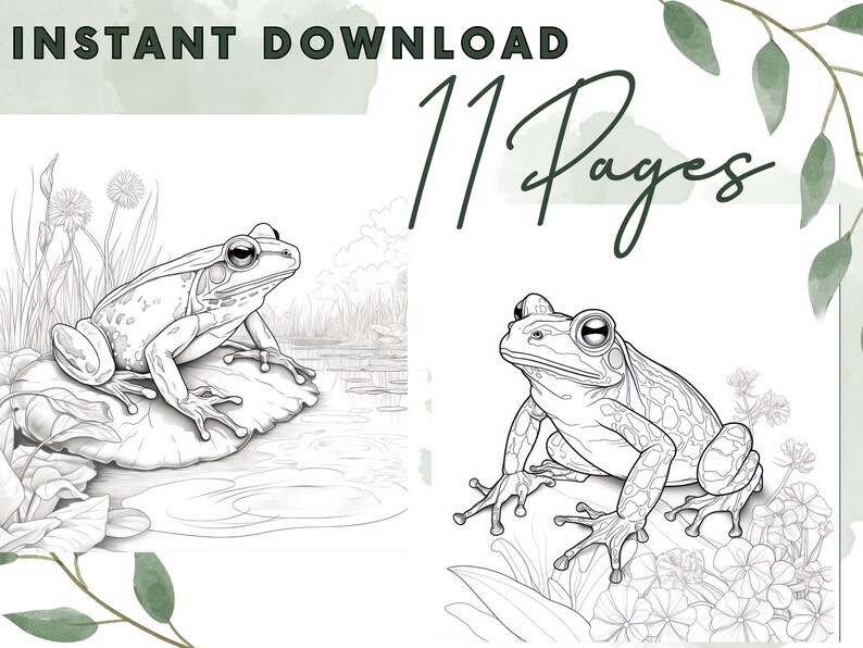 Frog Coloring Pages Science Teacher Coloring Book Printable Pdf File ...