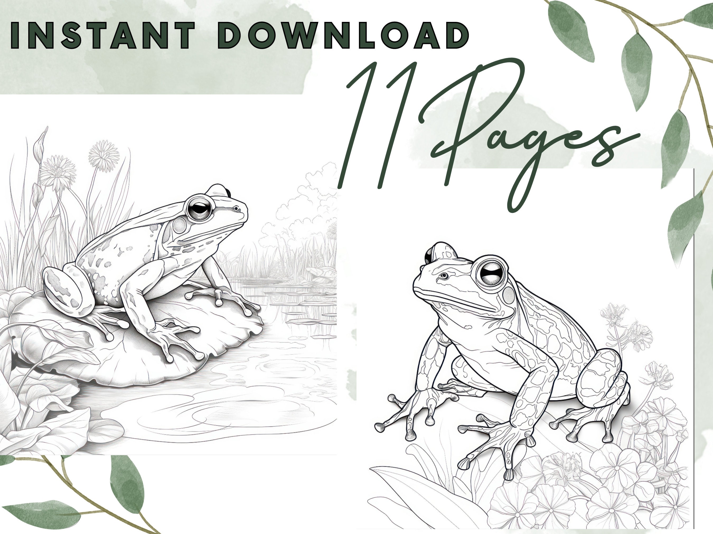 Frog Coloring Pages Science Teacher Coloring Book Printable Pdf File ...