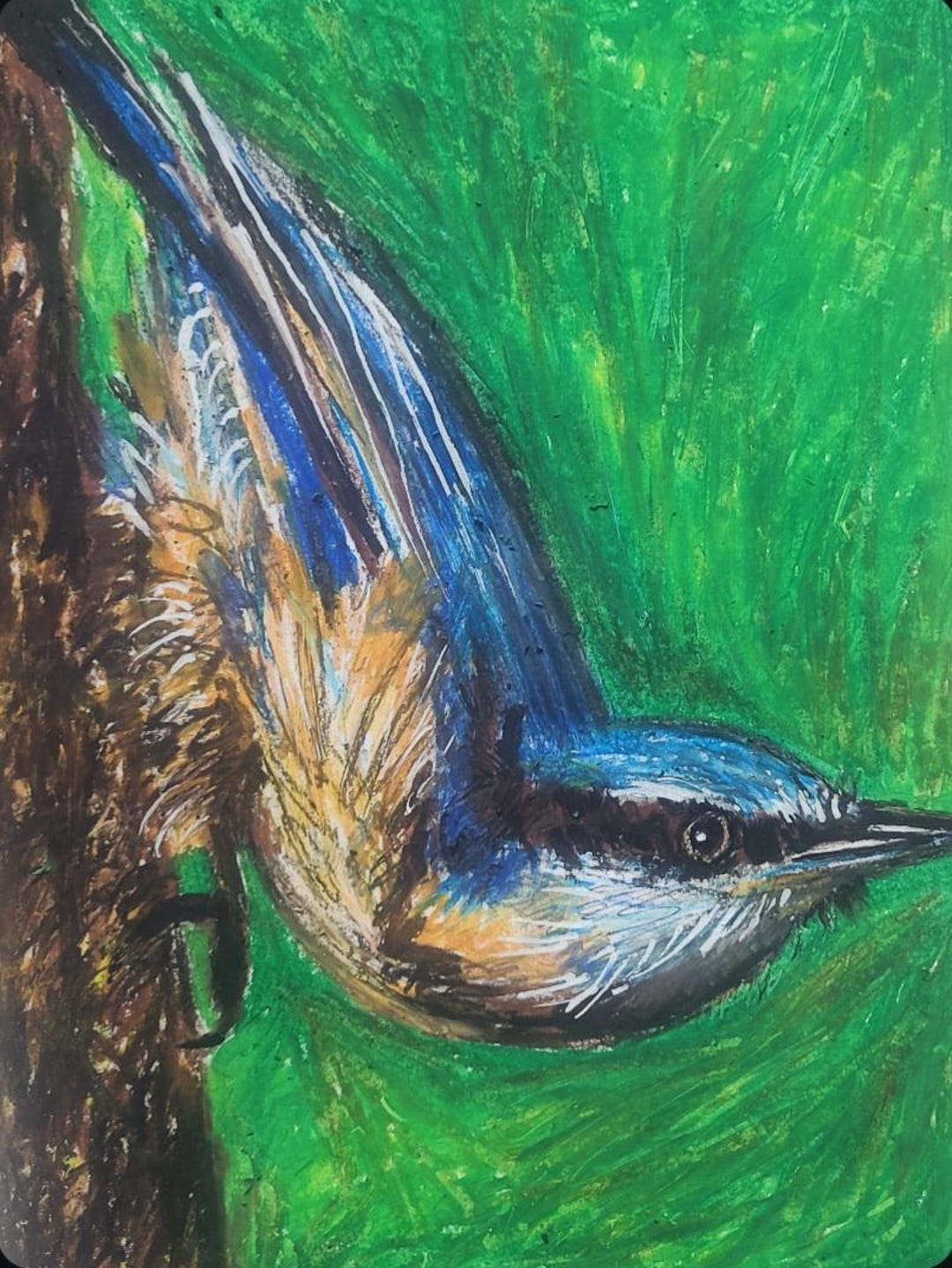 Original Nuthatch Bird Oil Pastel Art, A4 Illustration - Etsy