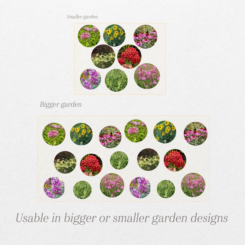 Digital Garden Planting Scheme for Low Maintenance Perennial Easy Care ...