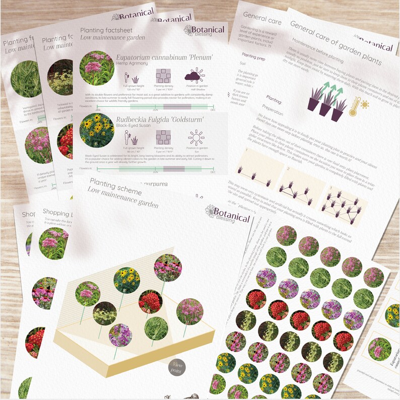 Digital Garden Planting Scheme for Low Maintenance Perennial Easy Care ...