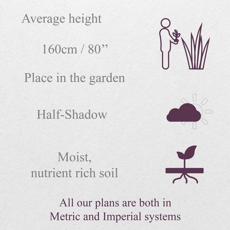 Japanese Style Zen Landschape Scheme Japan Garden Design Plan Blueprint ...