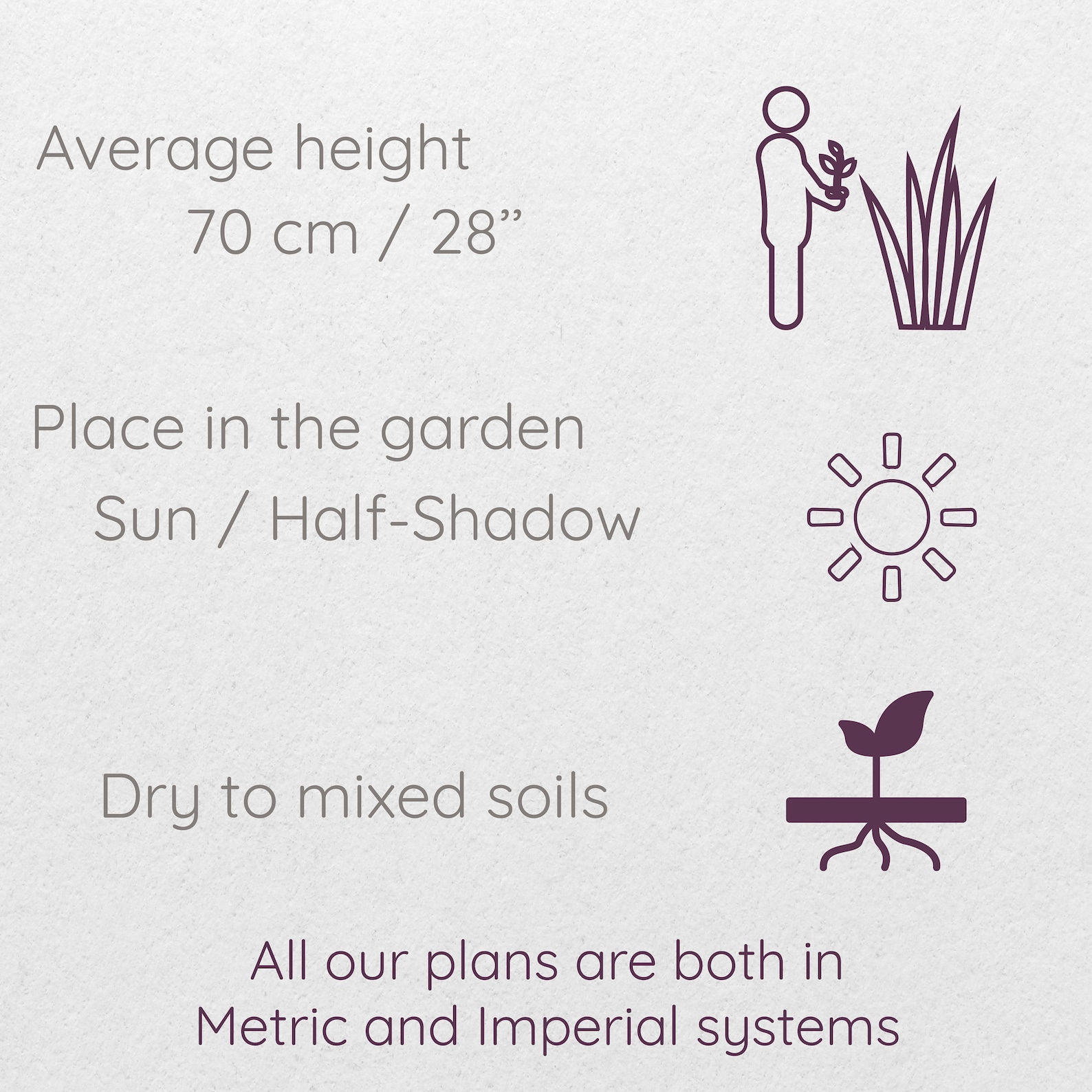 Digital Garden Planting Scheme for Low Maintenance Perennial Easy Care ...