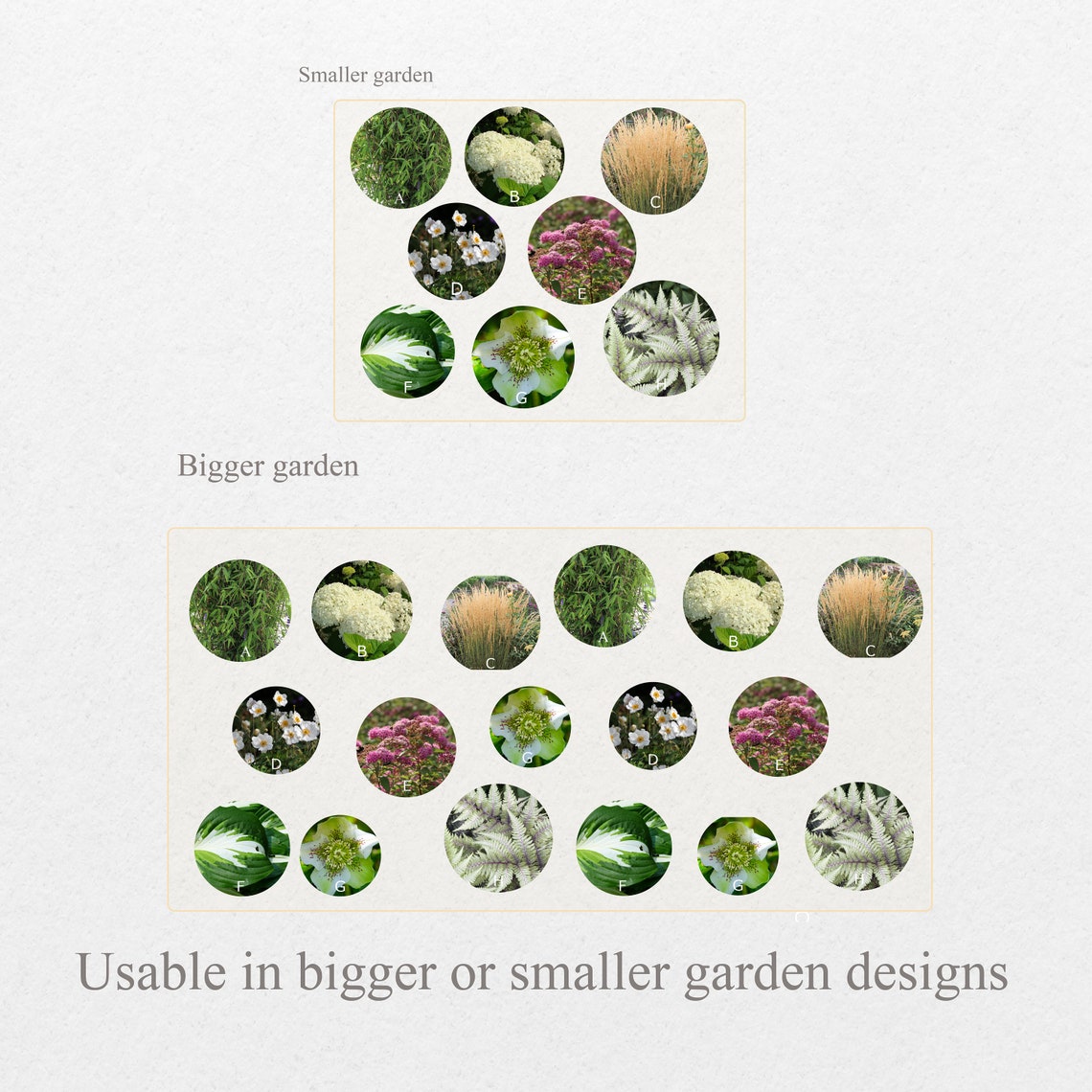 Japanese Style Zen Landschape Scheme Japan Garden Design Plan Blueprint ...