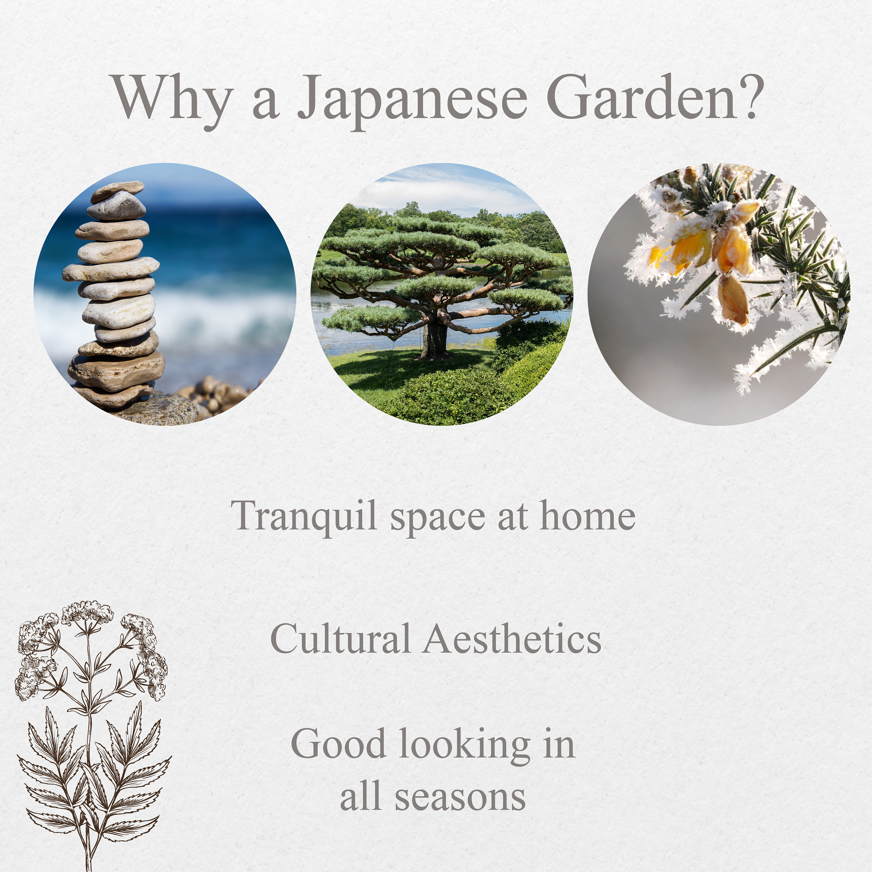 Japanese Style Zen Landschape Scheme Japan Garden Design Plan Blueprint ...