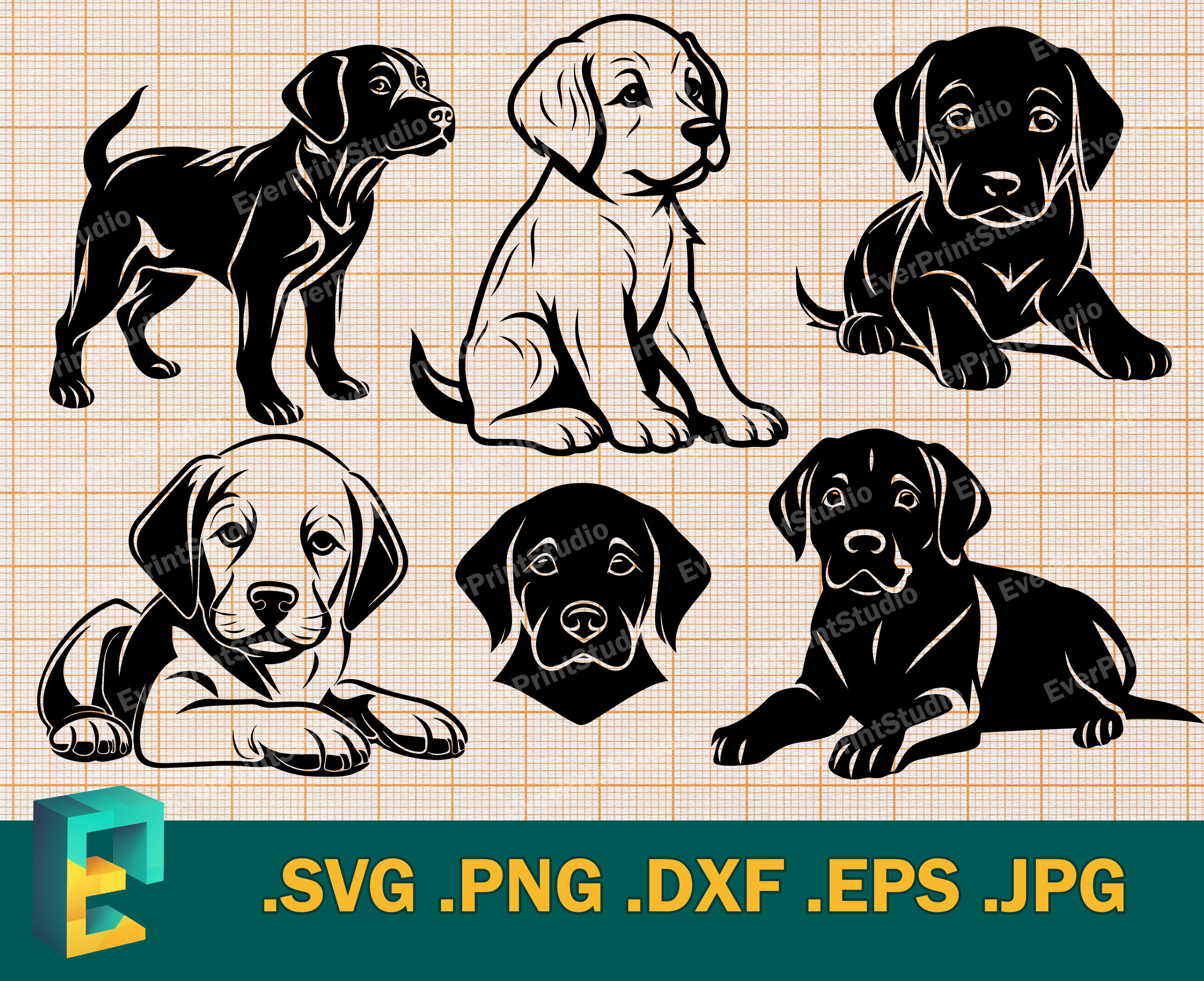 Labrador Retriever Puppy SVG Cricut Silhouette Vector - Etsy
