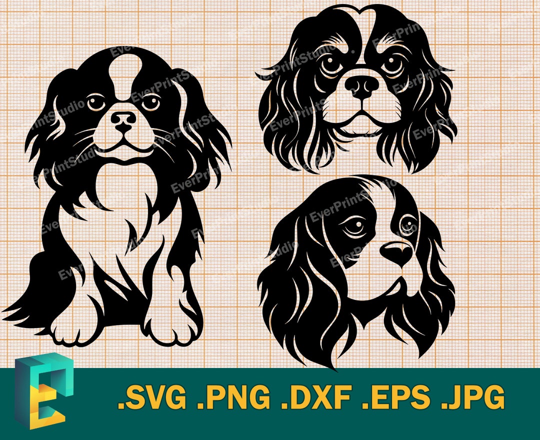 Cavalier King Charles Spaniel SVG - Cricut, Silhouette | Vector Cute ...