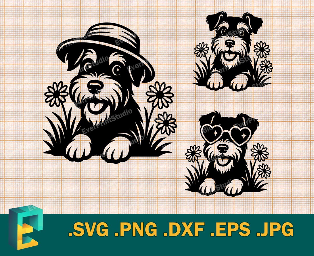 Cute Miniature Schnauzer SVG - Cut File for Cricut, Silhouette | Vector ...