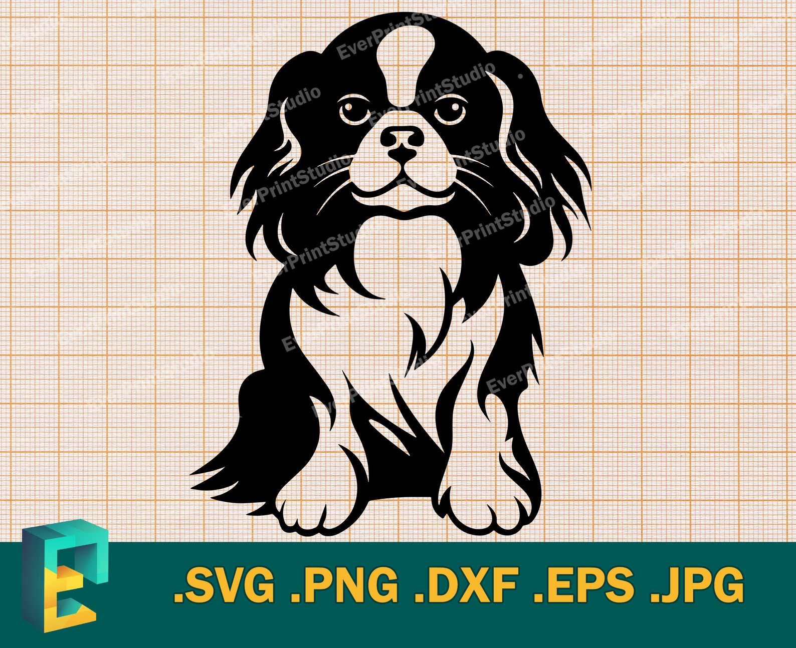 Cavalier King Charles Spaniel SVG - Cricut, Silhouette | Vector Cute ...