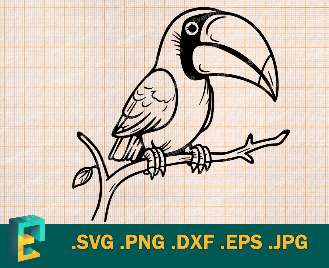 Toucan SVG - Cricut & Silhouette | Vector Toco Bird Svg, Png, Toucan ...