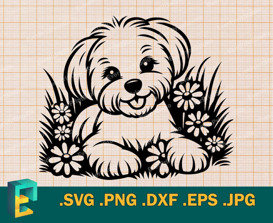 Maltese Dog, Maltipoo SVG - Cricut, Silhouette | Vector Cute Maltese ...